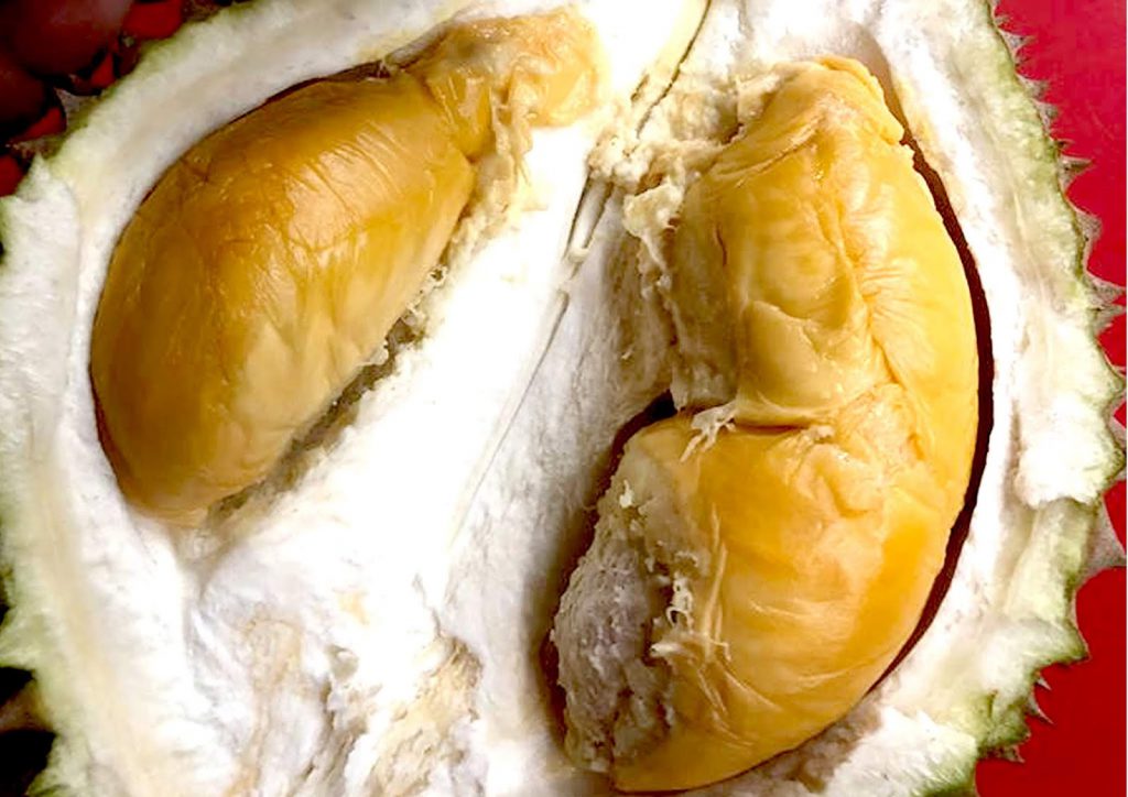 7 Jenis Durian Terbaik Di Malaysia, Sebelum Beli Tengok Dulu Untuk Elak ...