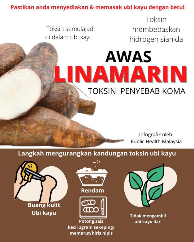 Bukan Sebab Angin, Ini Cara Buang Toksin Berbahaya Penyebab Koma Dalam ...