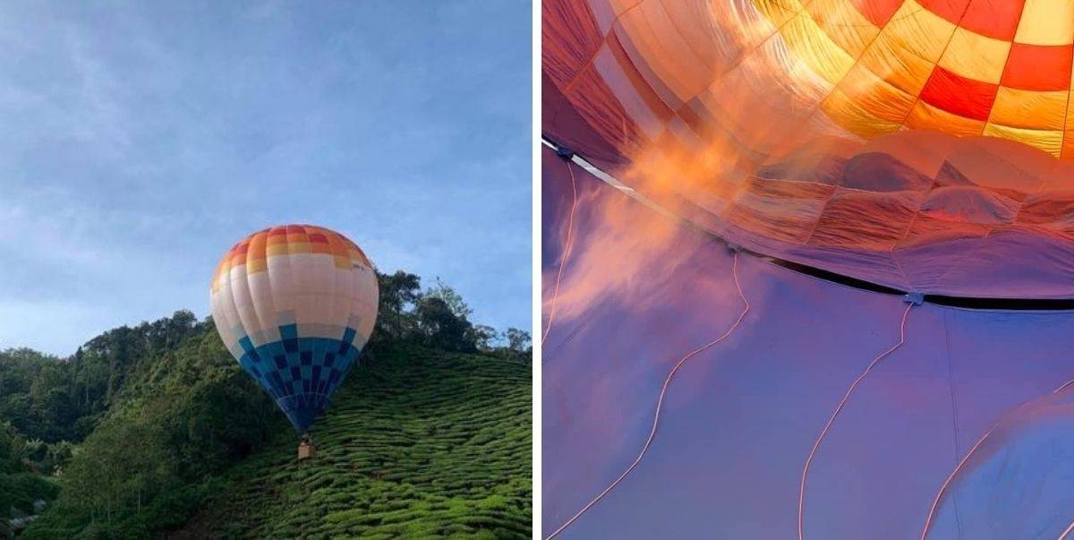Nikmati Pemandangan Ladang Teh Dari Udara, Hot Air Balloon Tarikan Baru ...