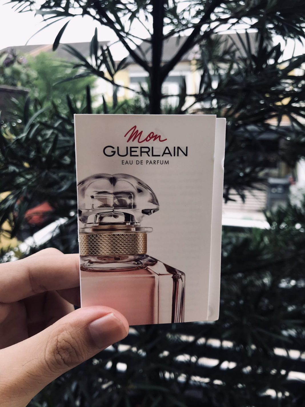 10 Minyak Wangi Wanita Daripada Jenama Terkenal Paling Best & Berbaloi ...